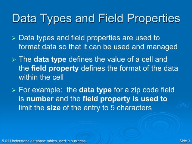 Data Types and Field Properties.ppt