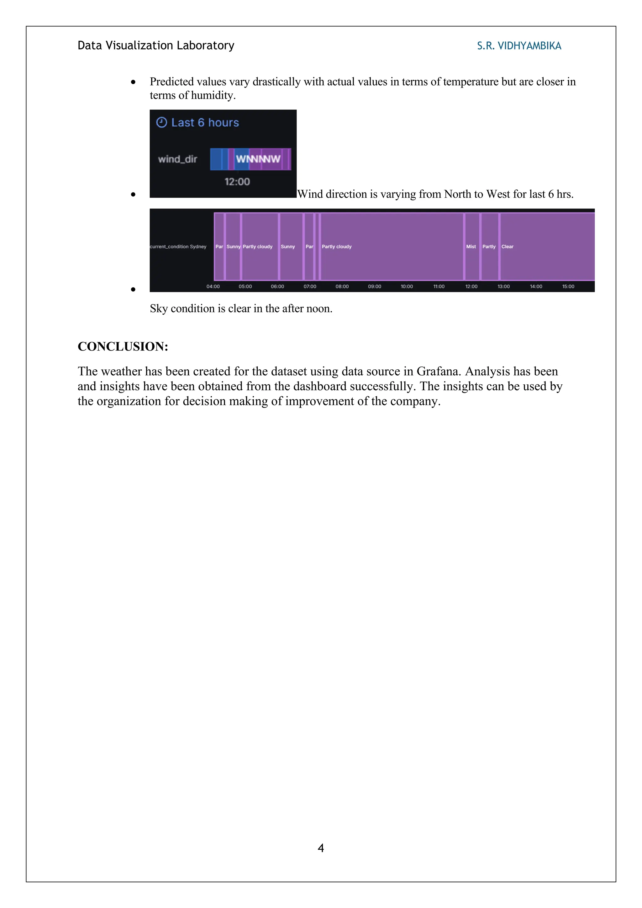 Data visualisation laboratory report/manual | PDF