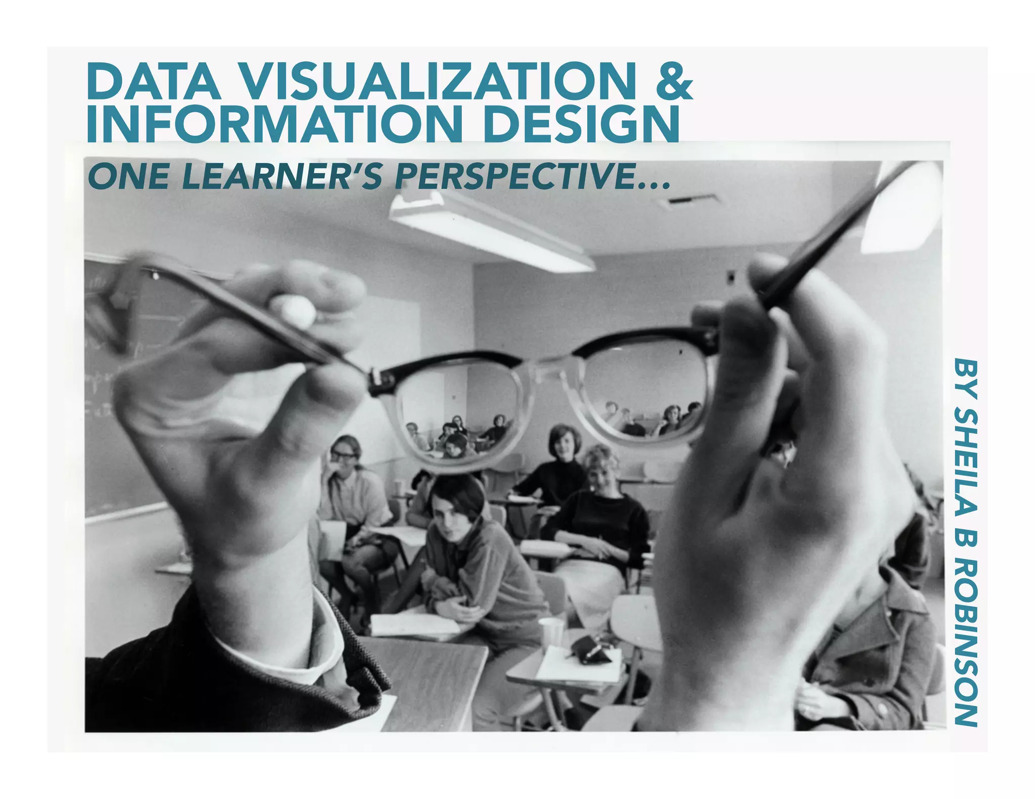 Data Visualization & Information Design: One Learner's Perspective | PPT