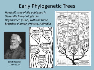 Visualizing Evolution | PPTX