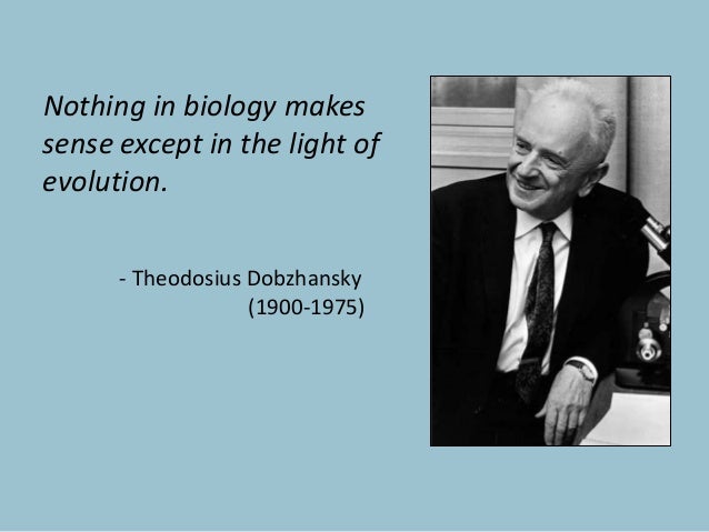 Visualizing Evolution Visualizing Evolution