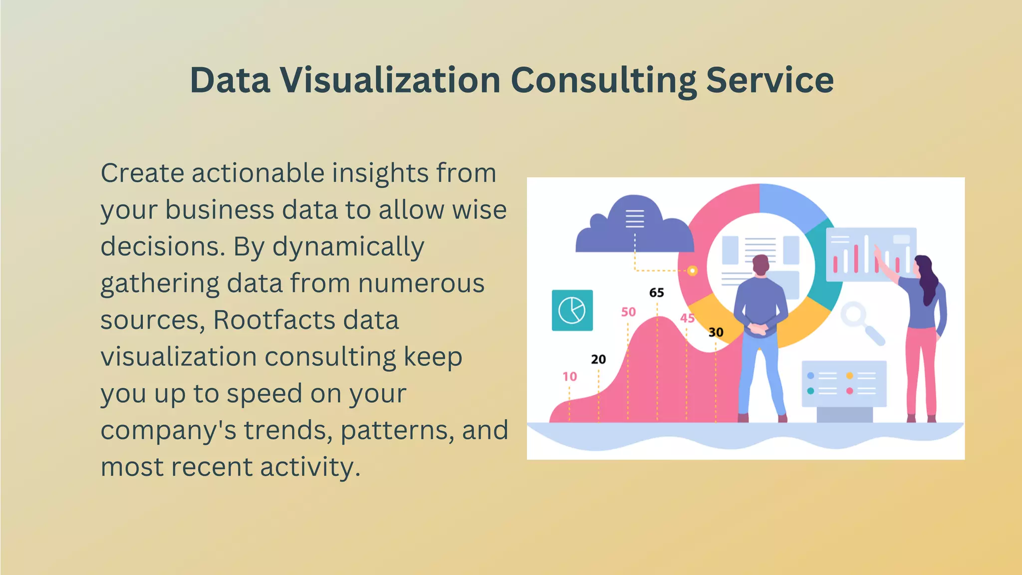 Data Visualization Service.pdf