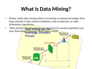 Data_Warehousing_and_Data_Mining_Presentation.pptx