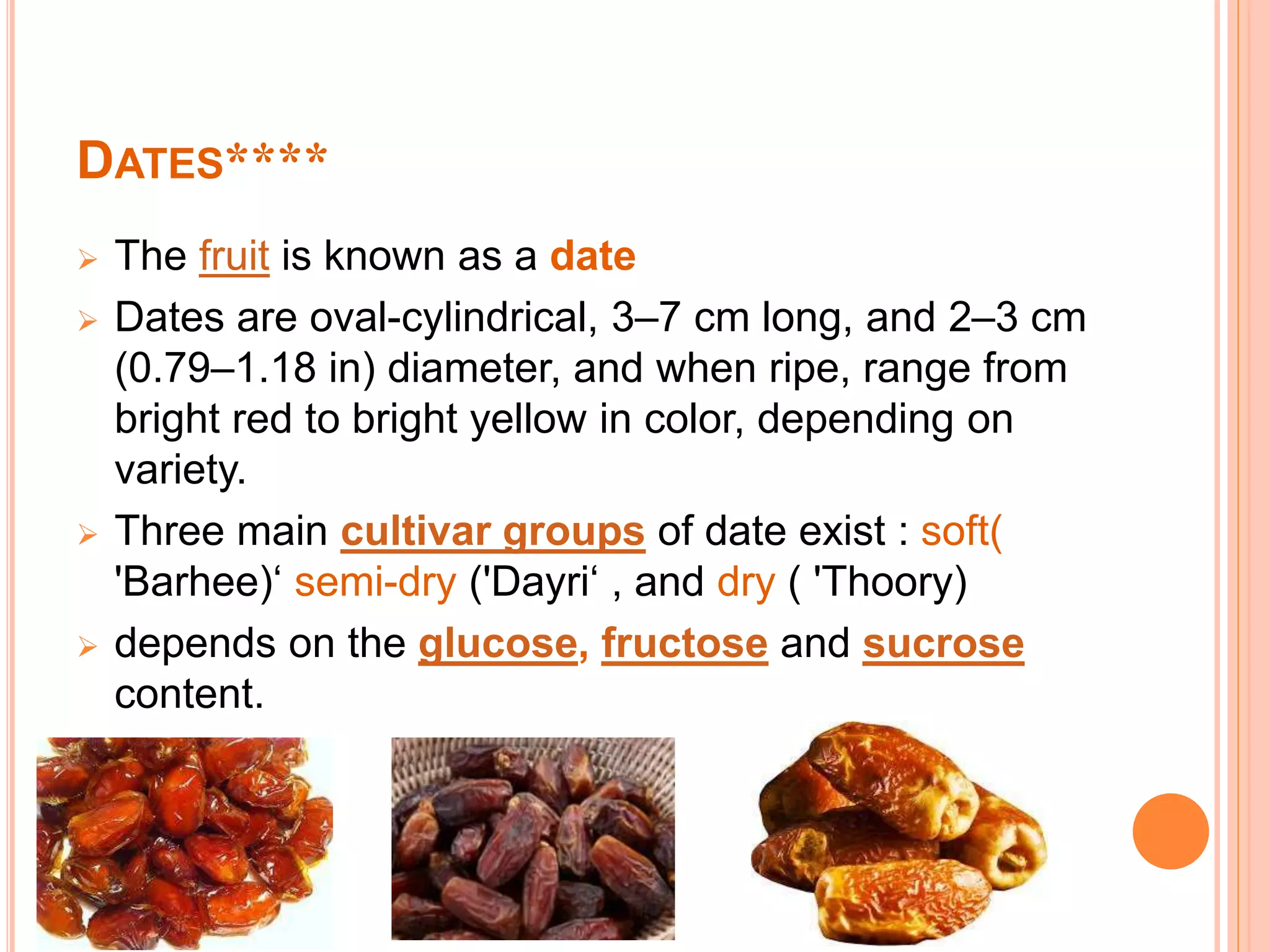 Date palm | PPTX