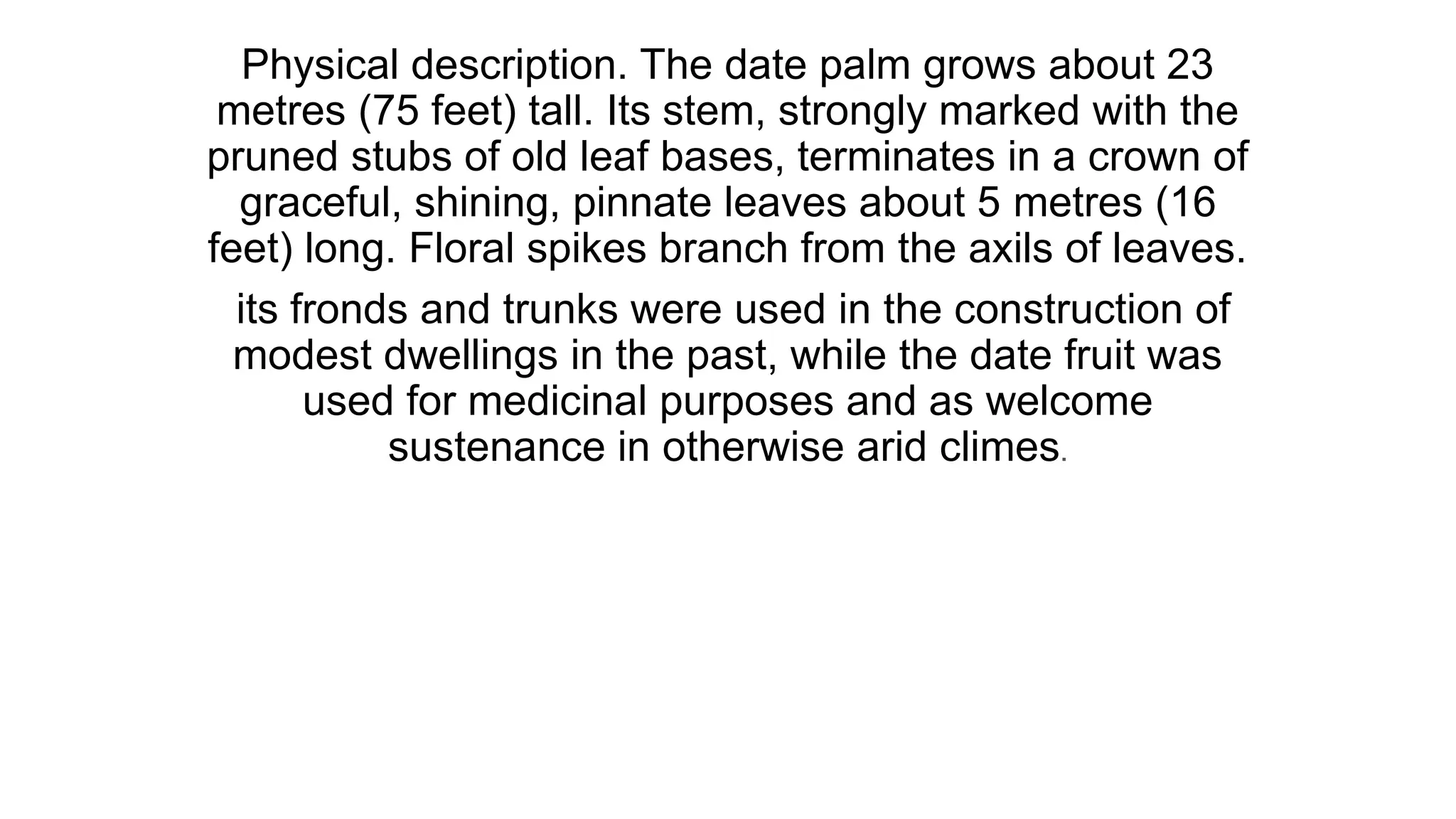 DATE PALM.pptx choudhary palm nursery ,khajoor | PPTX