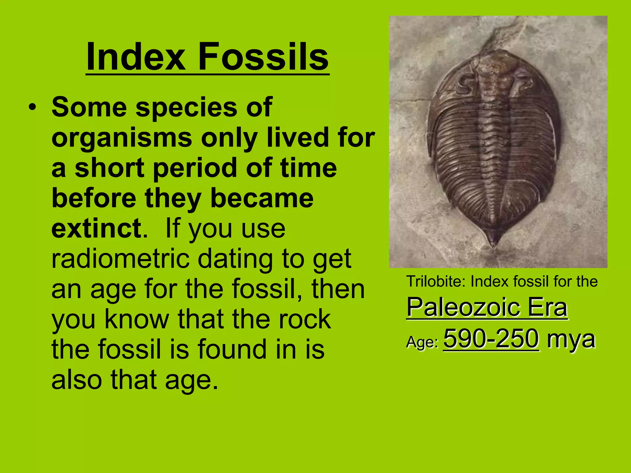 Dating Fossils.ppt