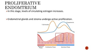 DATING OF ENDOMETRIUM - female genital tract.pptx