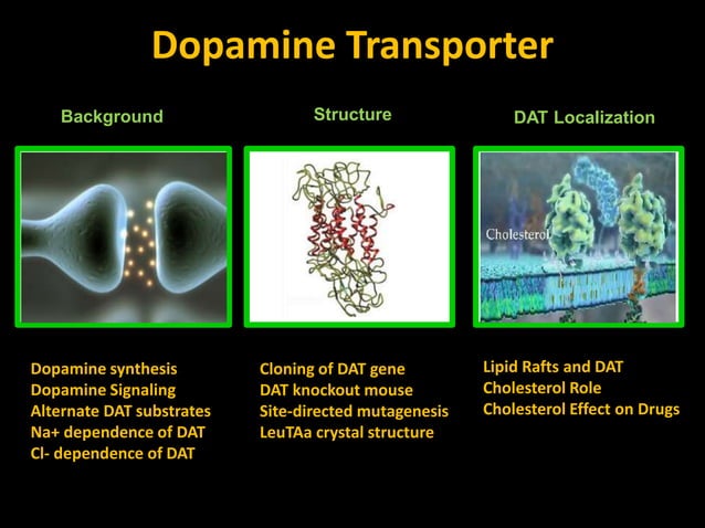 DAT presentation LECTURE | PPT