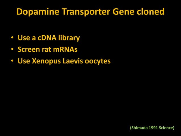 DAT presentation LECTURE | PPT