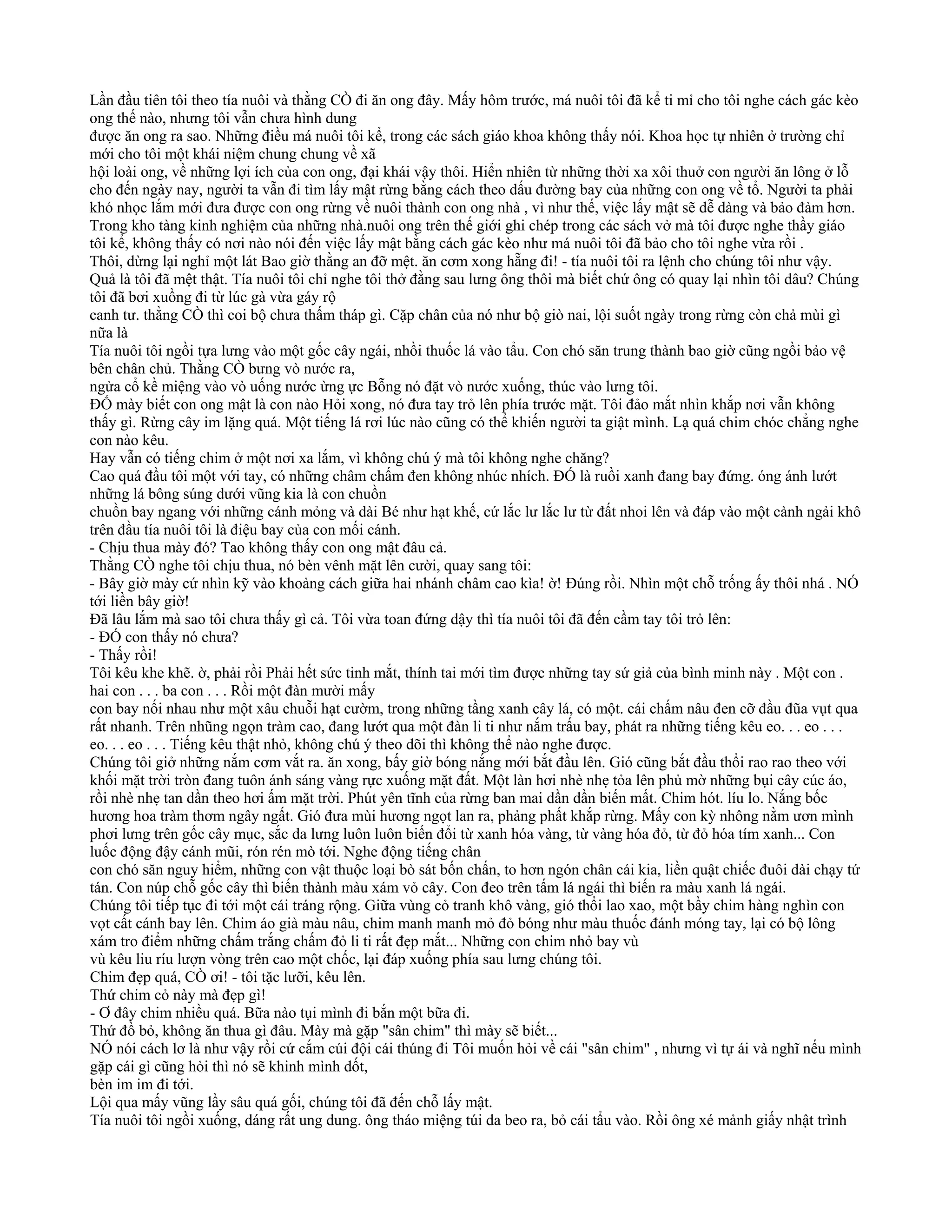 Dat rung phuong nam doan gioi | PDF