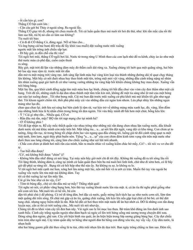 Dat rung phuong nam doan gioi | PDF