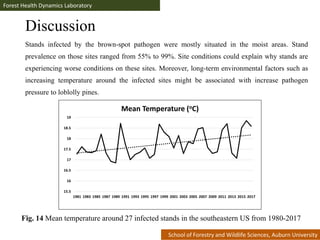 dattadebitsigmaxi2021 | PPT