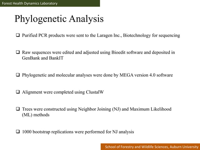 dattadebitsigmaxi2021 | PPT