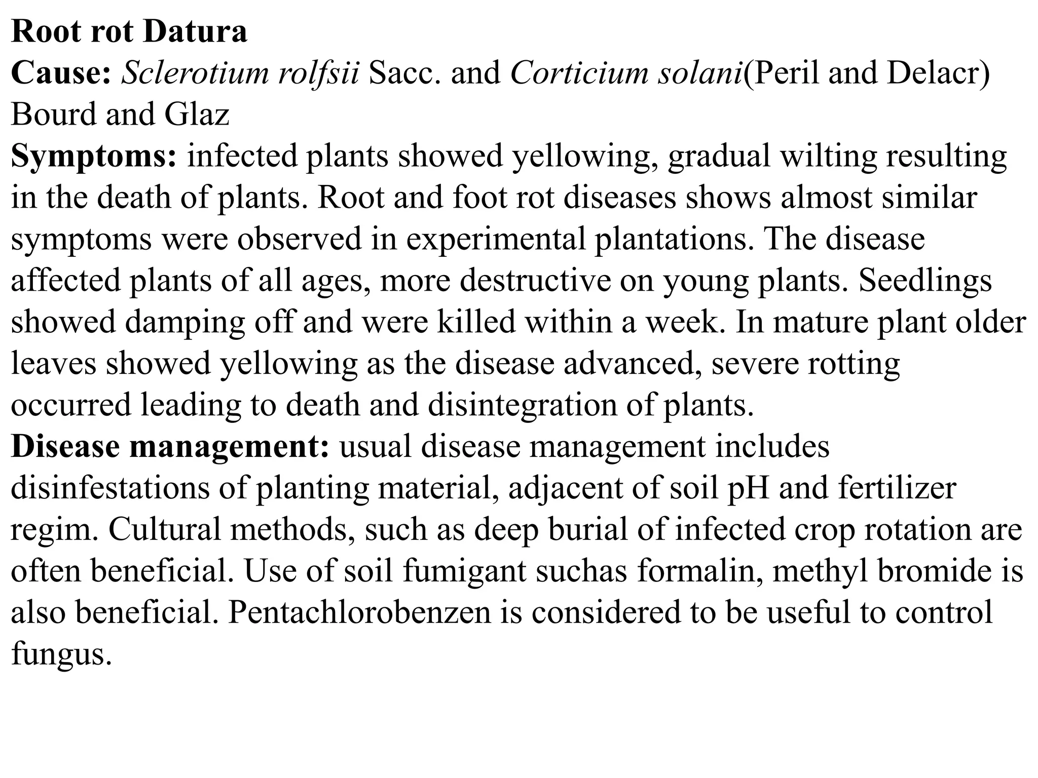 Diseases of Datura | PPTX