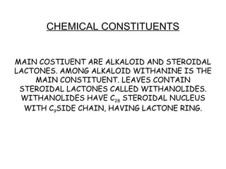 Datura & ashwagandha | PPT