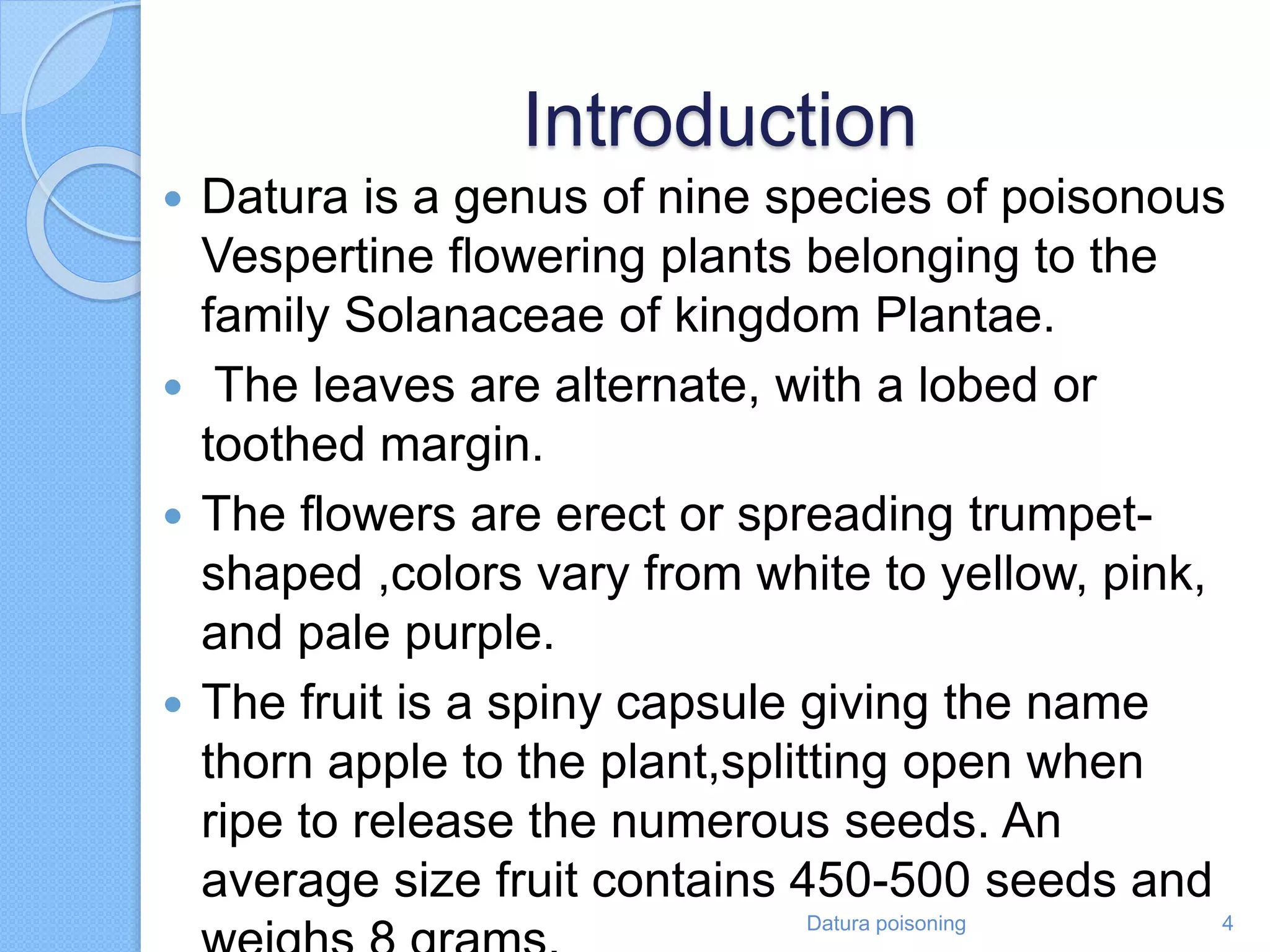 Datura (dhatura, atropine , scopolamine, thorn apple , jimson weed ...