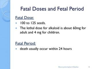 Datura /dharura/ hyoscine / scopolamine / anticholinergic / atropine ...