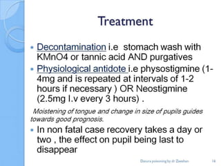 Datura /dharura/ hyoscine / scopolamine / anticholinergic / atropine ...