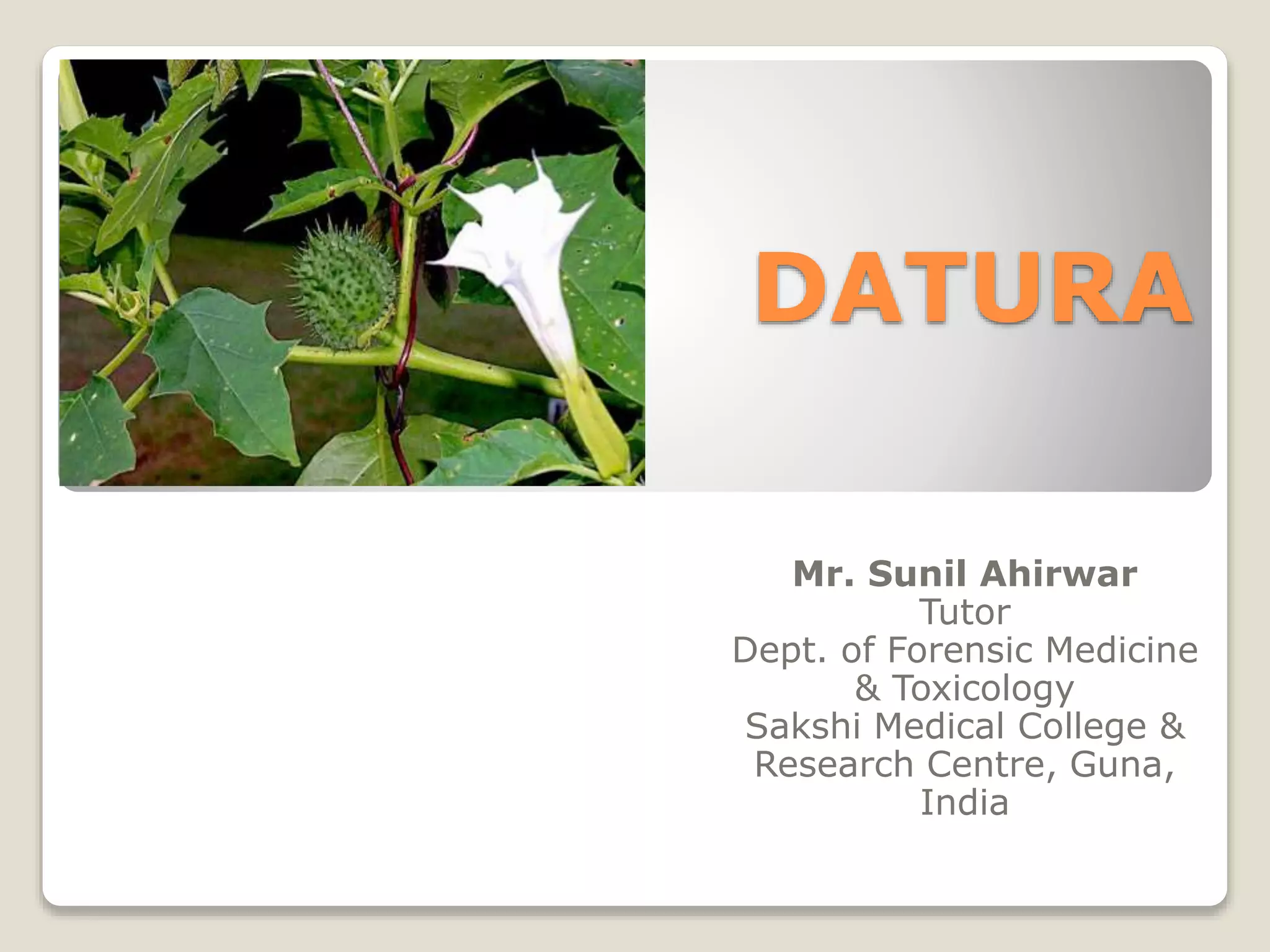 Datura or deliriant poisoning by Mr.Sunil Ahirwar (Forensic Expert) | PPTX