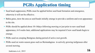 Effects of PGRs on Turf grass | PPTX