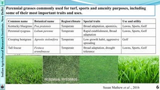 Effects of PGRs on Turf grass | PPT