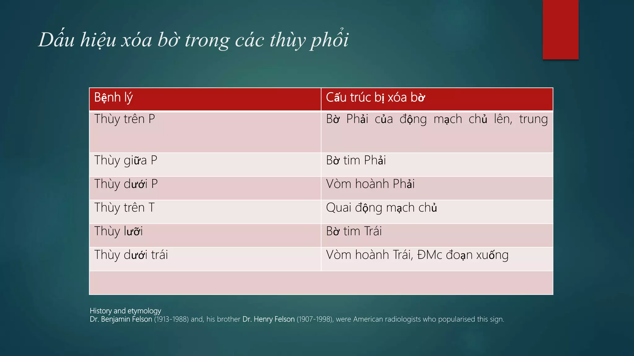 Dau hieu x quang ngực (signsinchestxray) | PDF