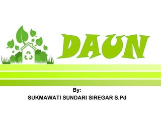 Daun | PPTX