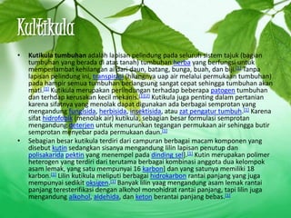 Anatomi Daun Kelas XI SMA by. Gabrielle TL | PPTX