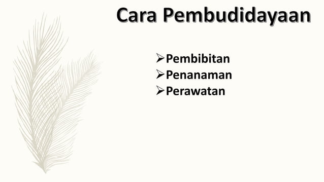 Power Point Daun bahagia | PPTX