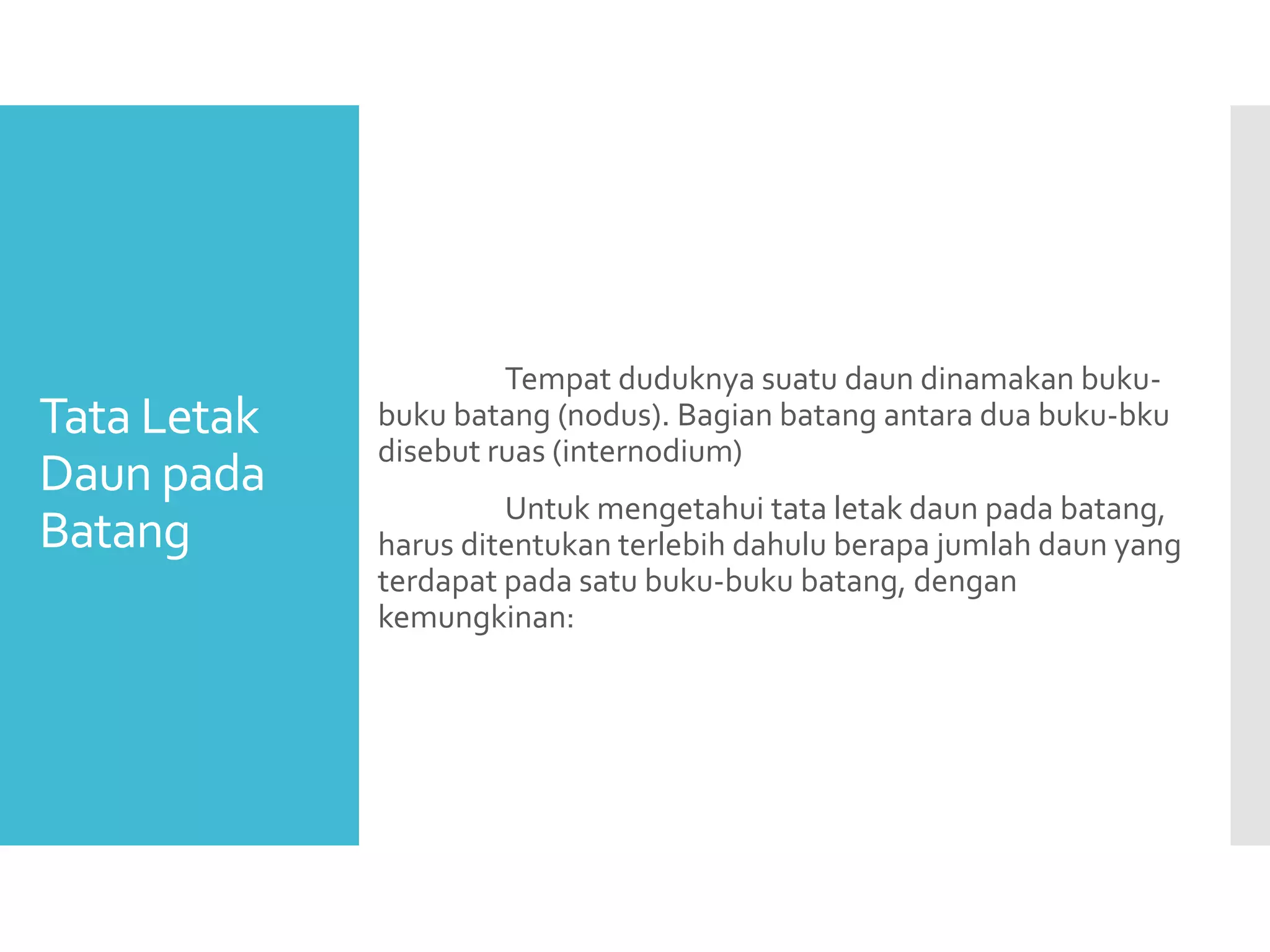 Morfologi Tumbuhan - Daun majemuk | PPTX