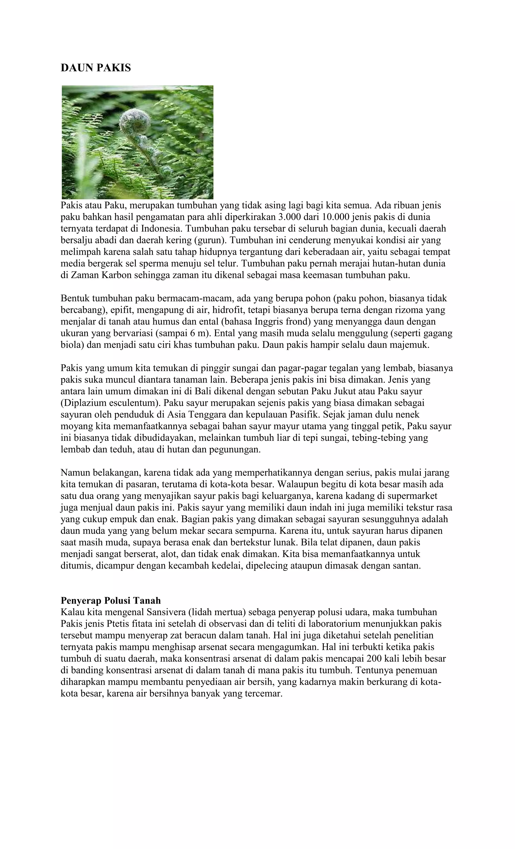 Daun pakis | DOCX