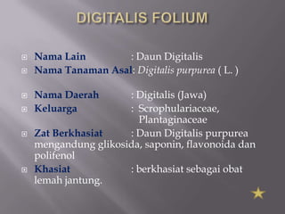 Daun pptx | PPTX