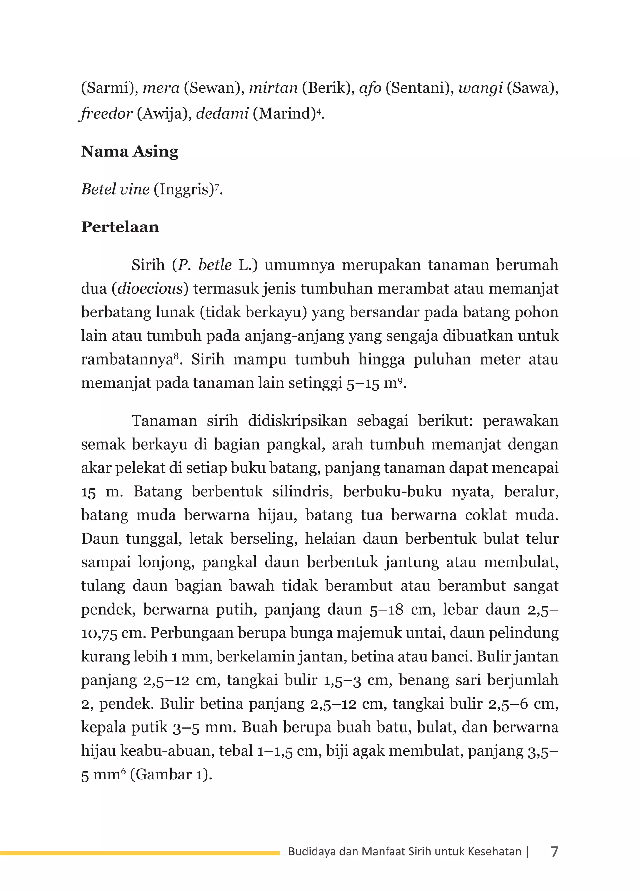 daun sirih.pdf