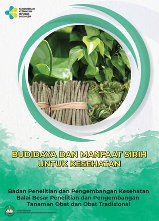 daun sirih.pdf