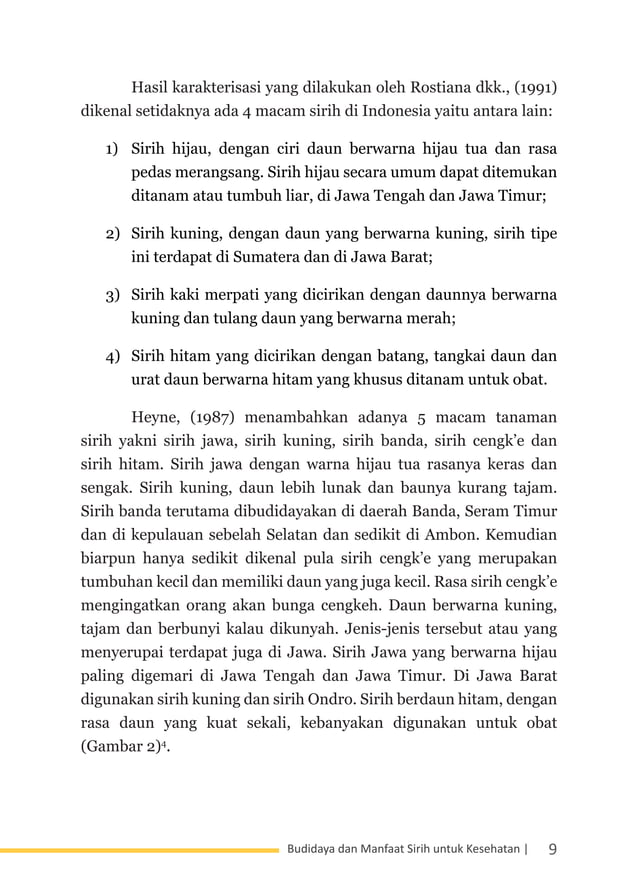 daun sirih.pdf