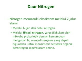 DAUR-BIOGEOKIMIA daur nitrogen, daur air , oksigen dll | PPT