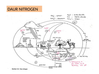 Comprehensive Overview of Biogeochemical Cycles: Nitrogen, Carbon ...