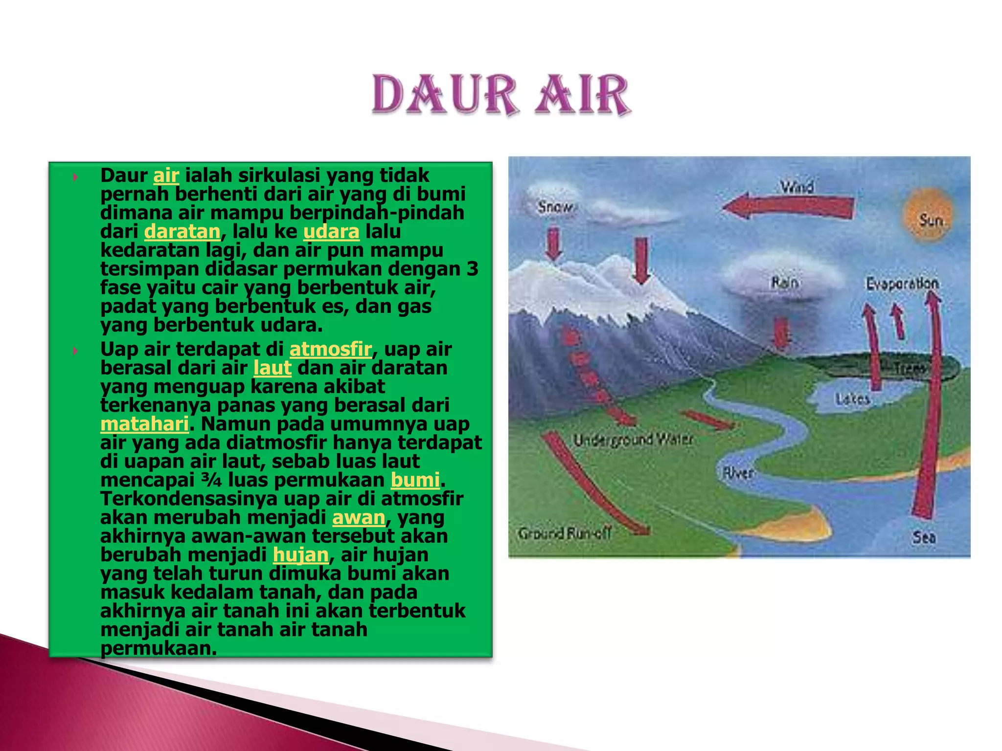 Daur biogeokimia | PPTX