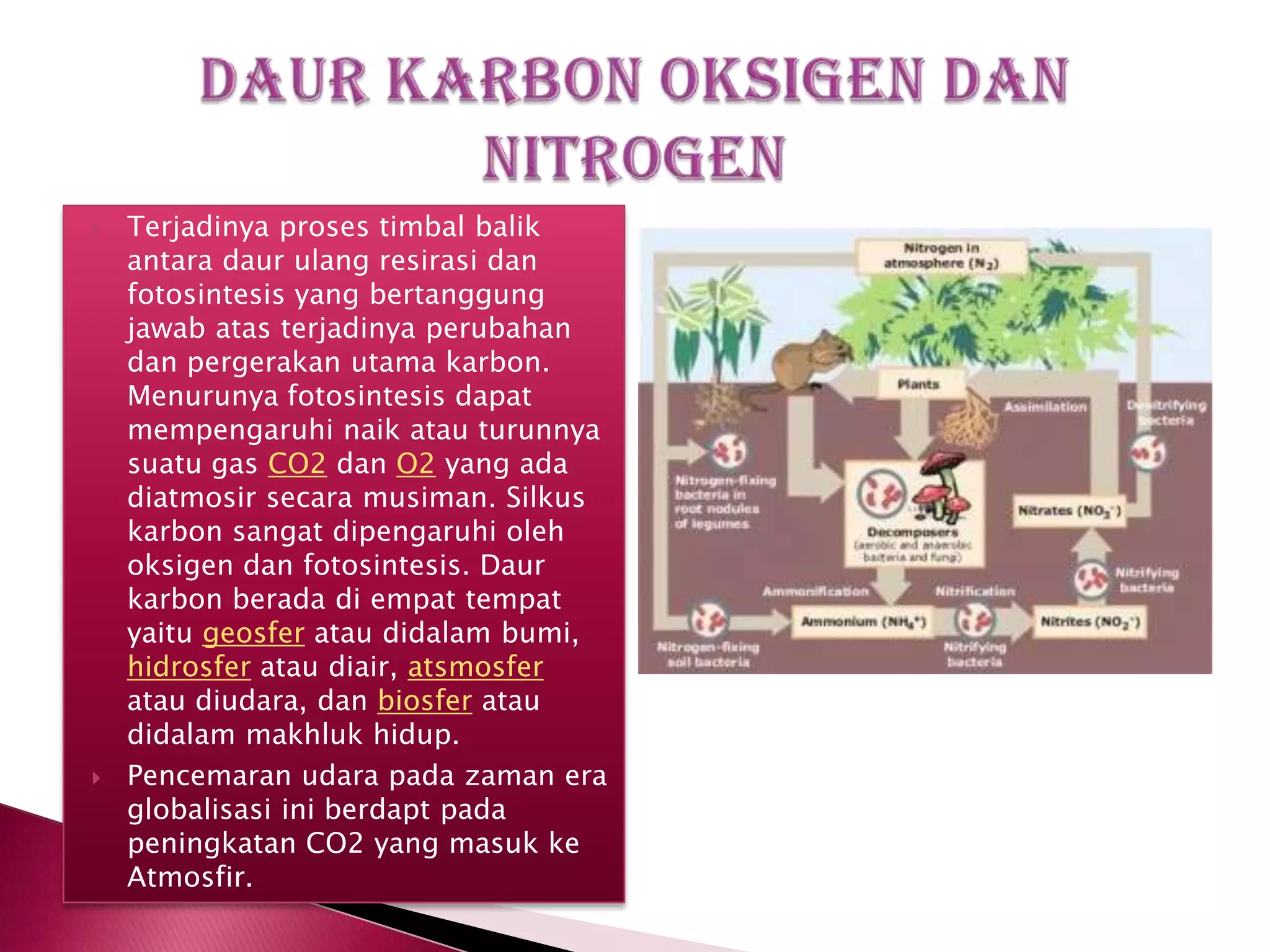 Daur biogeokimia | PPTX