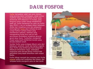 Daur biogeokimia | PPTX