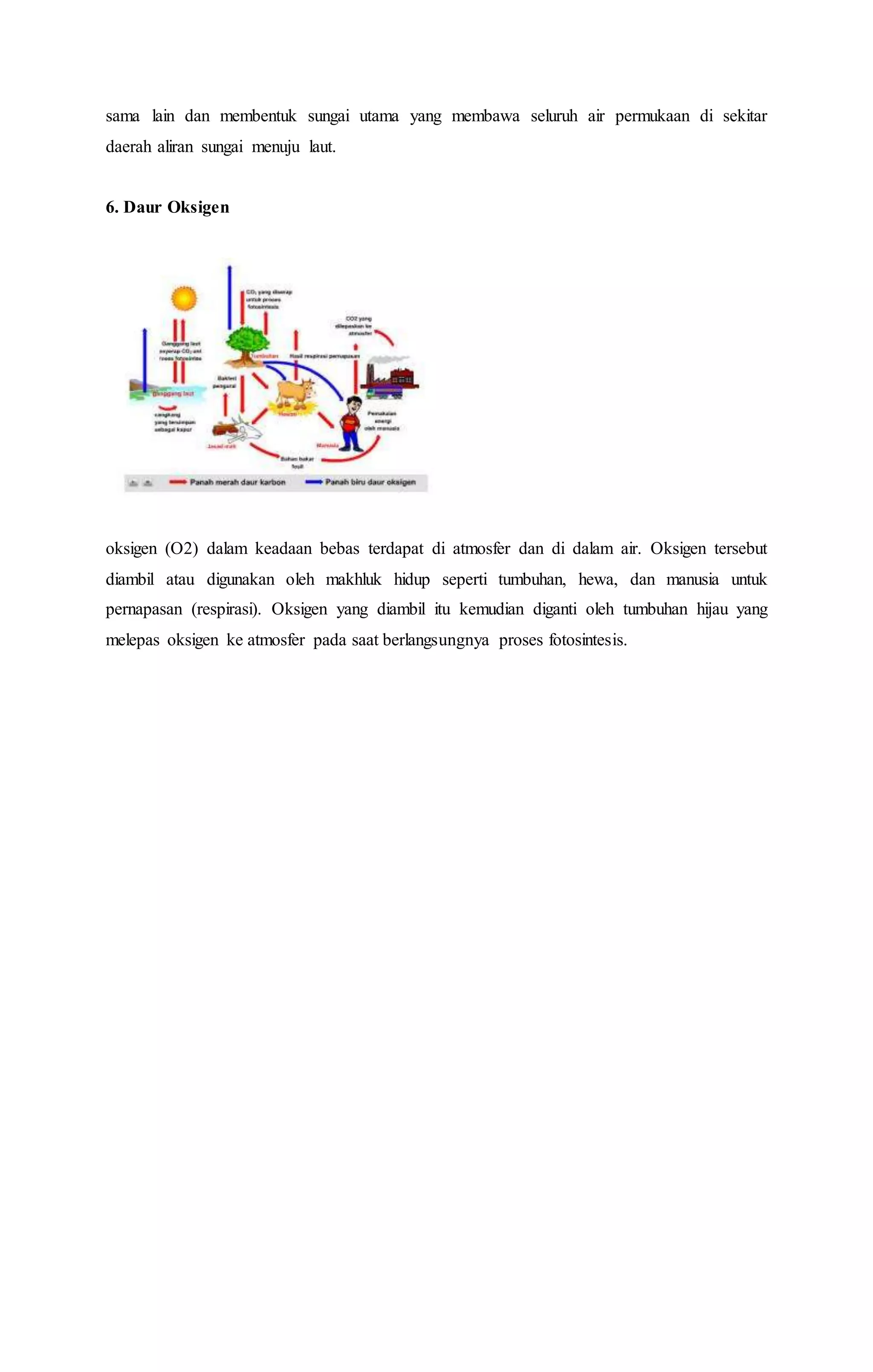 Daur biogeokimia | DOCX