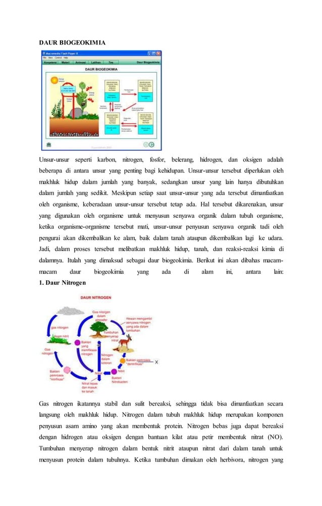 Daur biogeokimia | PDF