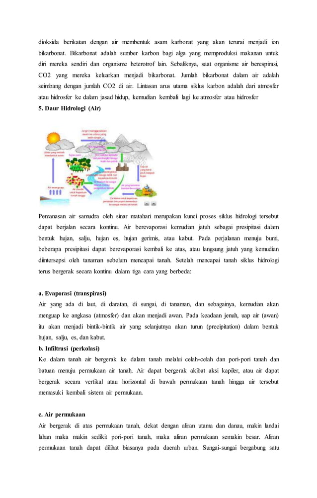 Daur biogeokimia | PDF