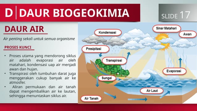 Daur Biogeokimia/ Siklus Biogeokimia (Bab Ekosistem) | PPT