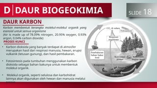 Daur Biogeokimia/ Siklus Biogeokimia (Bab Ekosistem) | PPTX