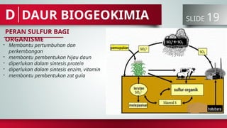 Daur Biogeokimia/ Siklus Biogeokimia (Bab Ekosistem) | PPTX