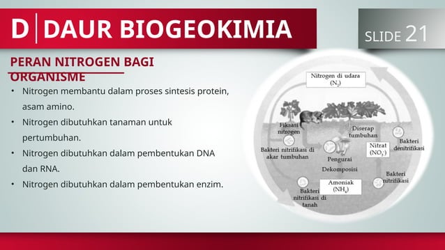 Daur Biogeokimia/ Siklus Biogeokimia (Bab Ekosistem) | PPT