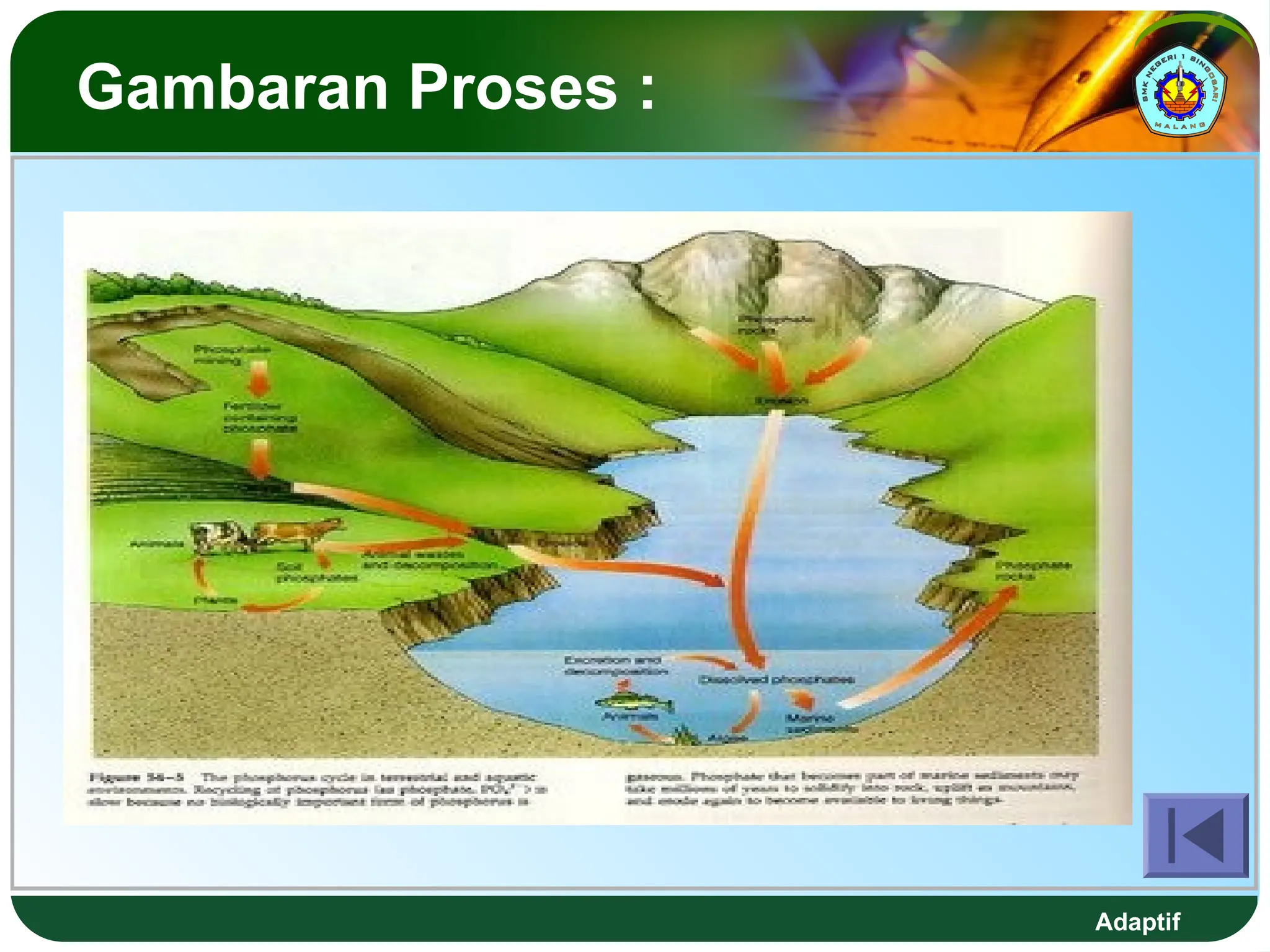 Topik Daur Biogeokimia. Biologi Kelas X.ppt