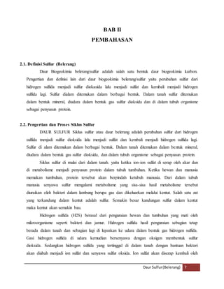 Daur biogeokimia belerang | DOCX
