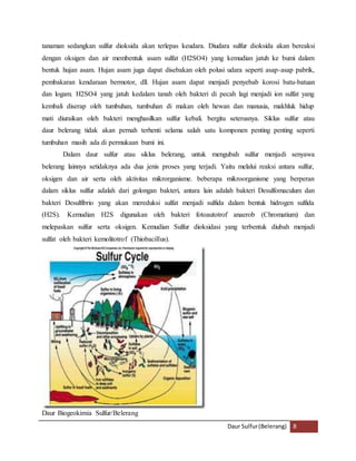 Daur biogeokimia belerang | DOCX